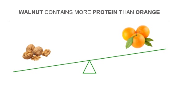 Compare Protein in Walnut to Protein in Orange