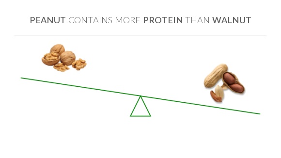 Compare Protein in Walnut to Protein in Peanut