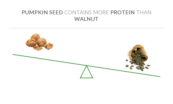 Compare Protein in Walnut to Protein in Pumpkin seed