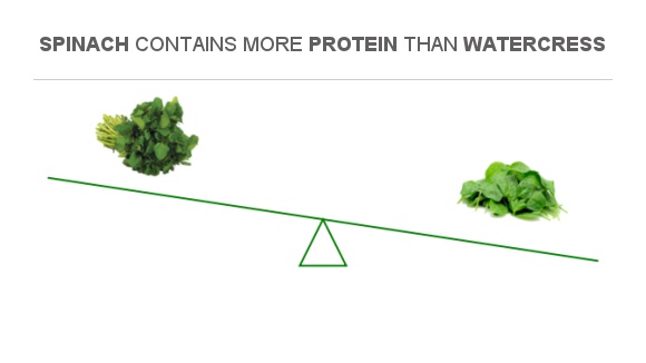Compare Protein in Watercress to Protein in Spinach