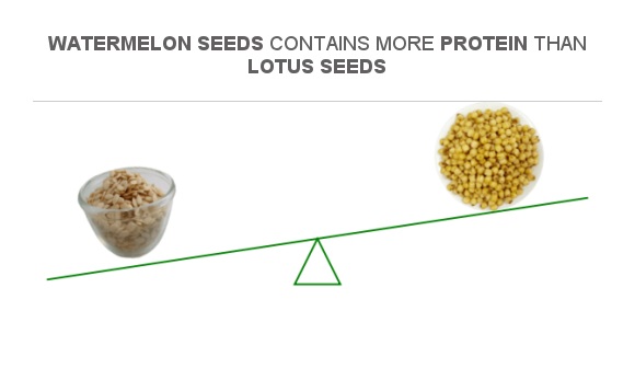 Compare Protein in Watermelon seeds to Protein in Lotus seeds