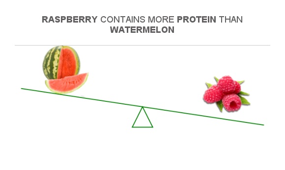 Compare Protein in Watermelon to Protein in Raspberry