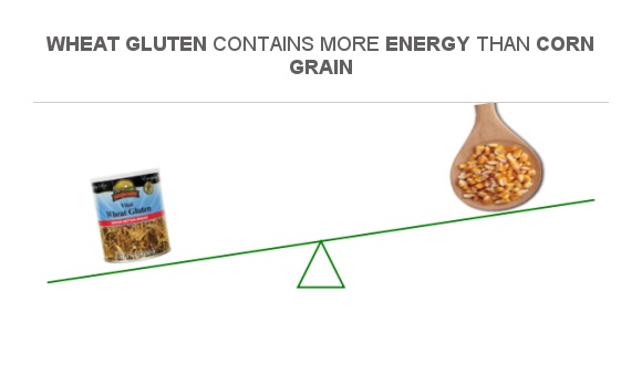 Compare Calories in Wheat gluten to Calories in Corn grain Compare Calories in Wheat gluten to Calories in Corn grain