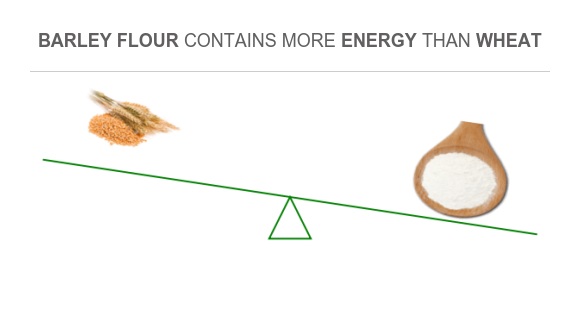 Compare Calories in Wheat to Calories in Barley flour
