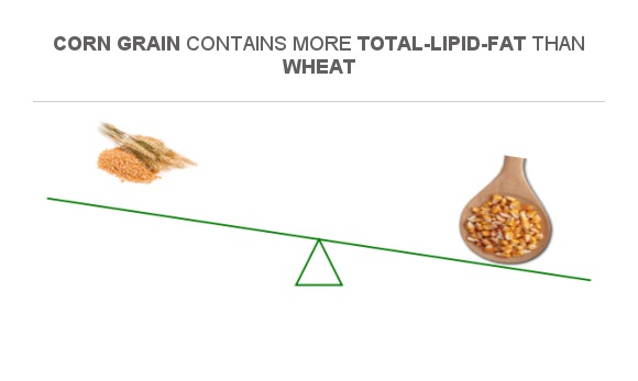Compare Fats in Wheat to Fats in Corn grain