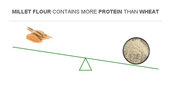 Compare Protein in Wheat to Protein in Millet flour