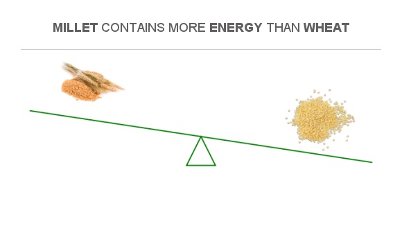 Compare Calories in Wheat to Calories in Millet