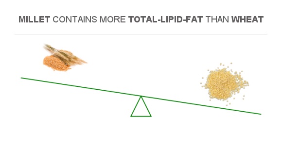 Compare Fats in Wheat to Fats in Millet