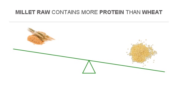 Compare Protein in Wheat to Protein in Millet raw