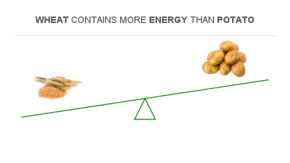 Compare Calories in Wheat to Calories in Potato