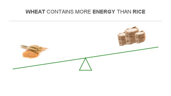 Compare Calories in Wheat to Calories in Rice