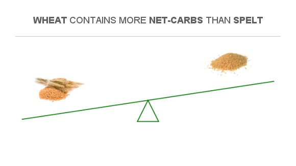 Compare Net carbs in Wheat to Net carbs in Spelt Compare Net carbs in Wheat to Net carbs in Spelt