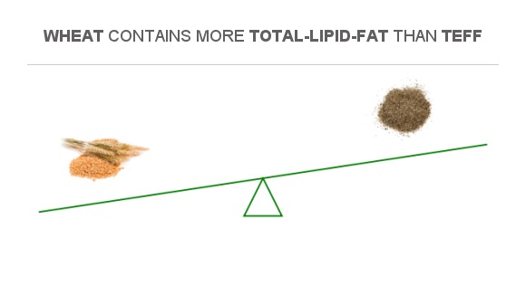 Compare Fats in Wheat to Fats in Teff