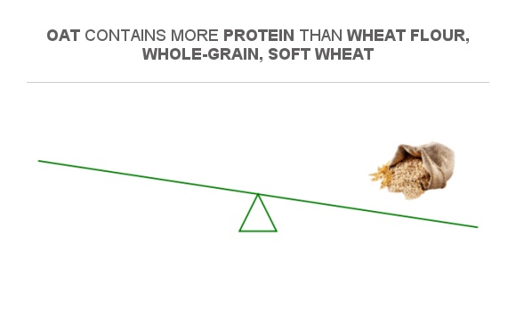 Compare Protein in Wheat flour, whole-grain, soft wheat to Protein in Oats