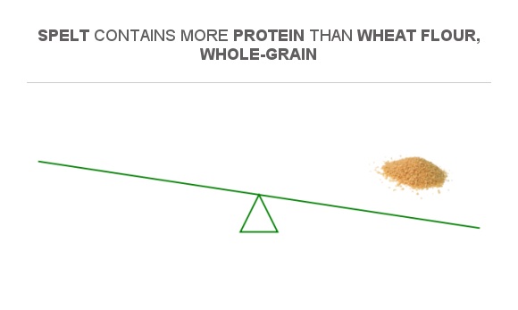 Compare Protein in Wheat flour, whole-grain to Protein in Spelt