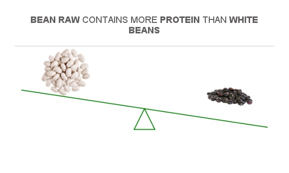 Compare Protein in White beans to Protein in Bean raw