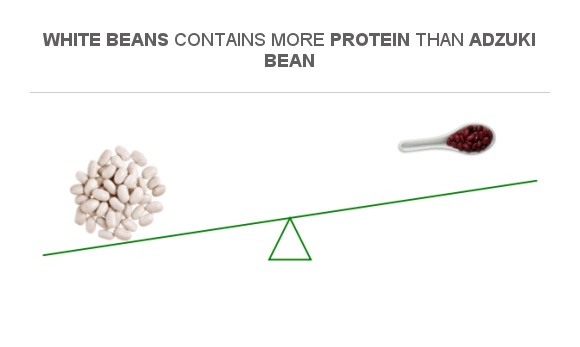 Compare Protein in White beans to Protein in Adzuki bean