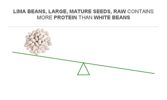 Compare Protein in White beans to Protein in Lima beans, large, mature ...
