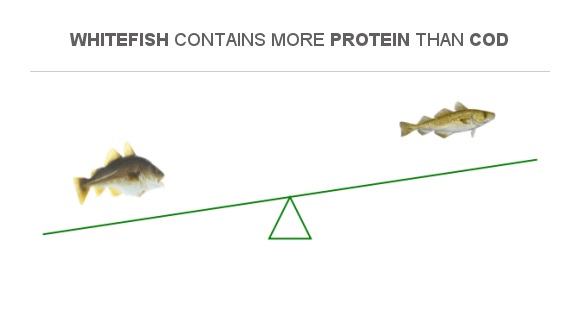 Compare Protein in Whitefish to Protein in Cod