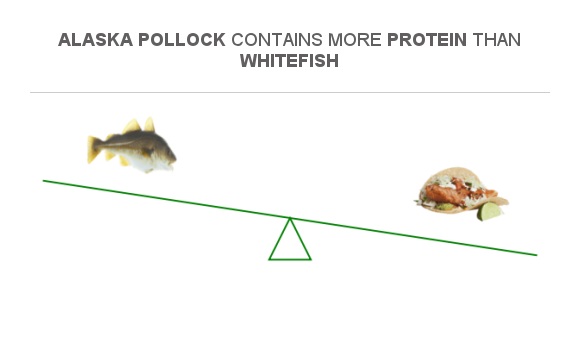 Compare Protein in Whitefish to Protein in Alaska pollock