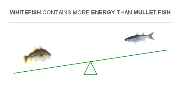 Compare Calories in Whitefish to Calories in Mullet fish