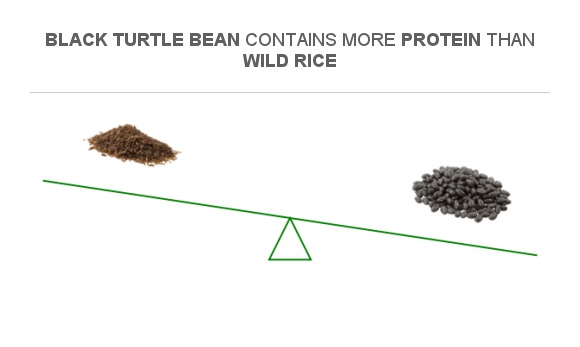 Compare Protein in Wild rice to Protein in Black turtle bean