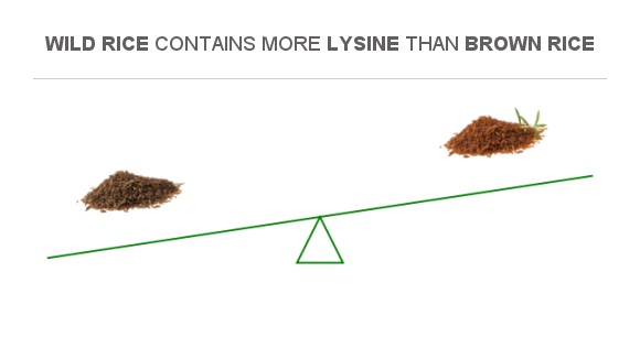 Compare Lysine in Wild rice to Lysine in Brown rice