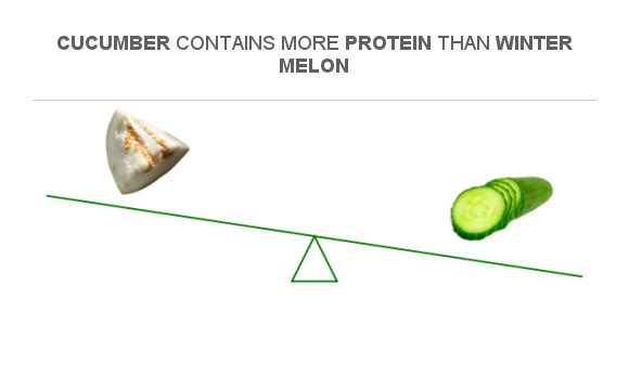 Compare Protein in Winter melon to Protein in Cucumber