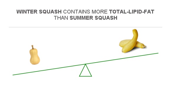 Compare Fats in Winter squash to Fats in Summer squash