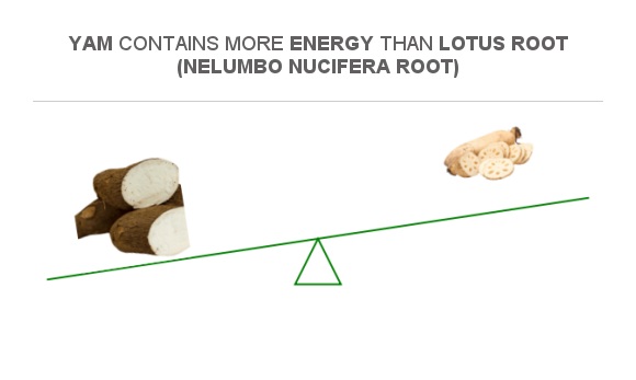 Compare Calories in Yam to Calories in Lotus root