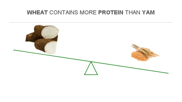Compare Protein in Yam to Protein in Wheat