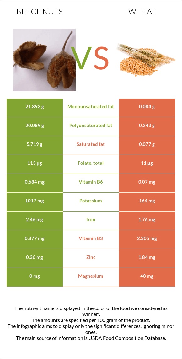 Beechnuts vs. Wheat — In-Depth Nutrition Comparison