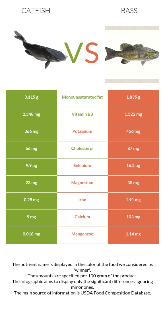 Catfish vs. Bass — In-Depth Nutrition Comparison