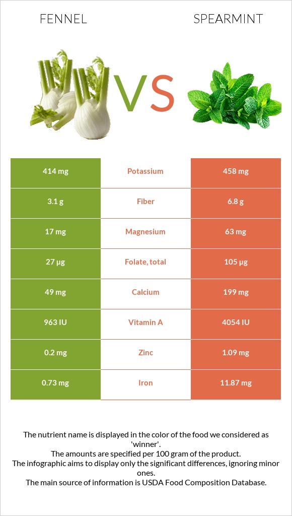 Fennel Vs Spearmint — In Depth Nutrition Comparison