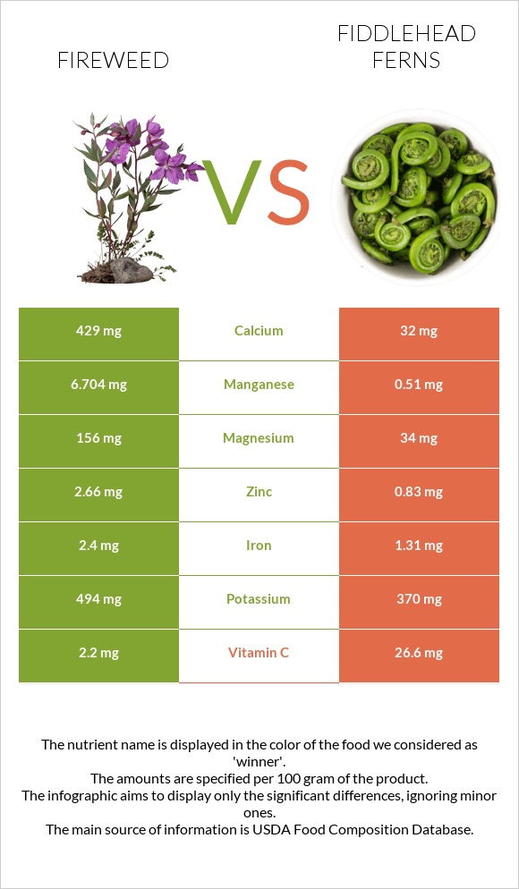Fireweed vs. Fiddlehead ferns — In-Depth Nutrition Comparison