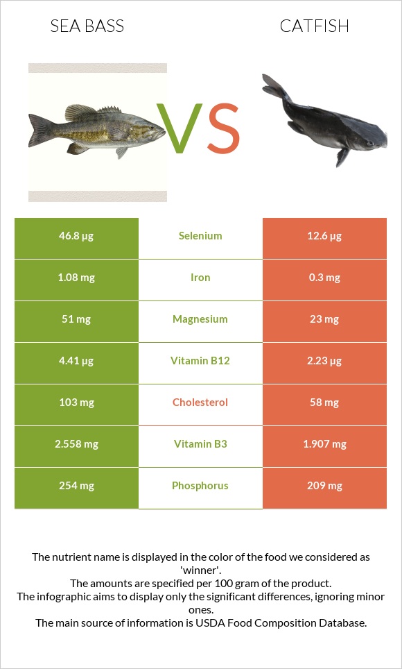 Sea bass vs. Catfish — In-Depth Nutrition Comparison
