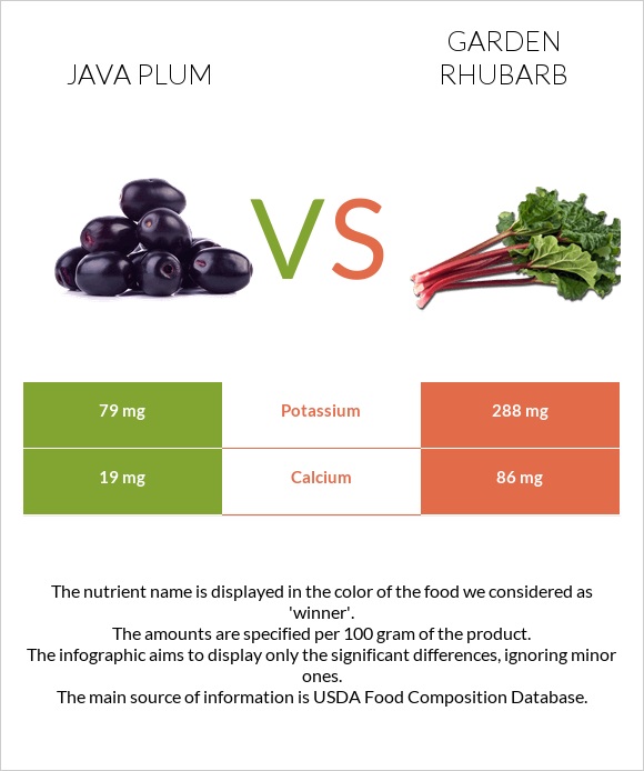 Java plum vs. Garden rhubarb — In-Depth Nutrition Comparison