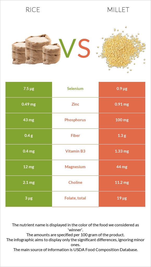 Rice vs. Millet — In-Depth Nutrition Comparison