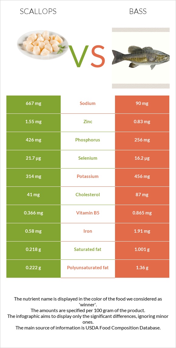 Scallops vs. Bass — In-Depth Nutrition Comparison