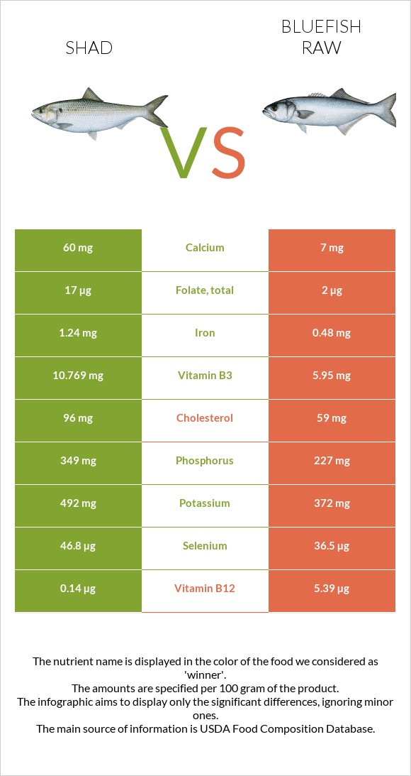 Shad vs. Bluefish raw — In-Depth Nutrition Comparison
