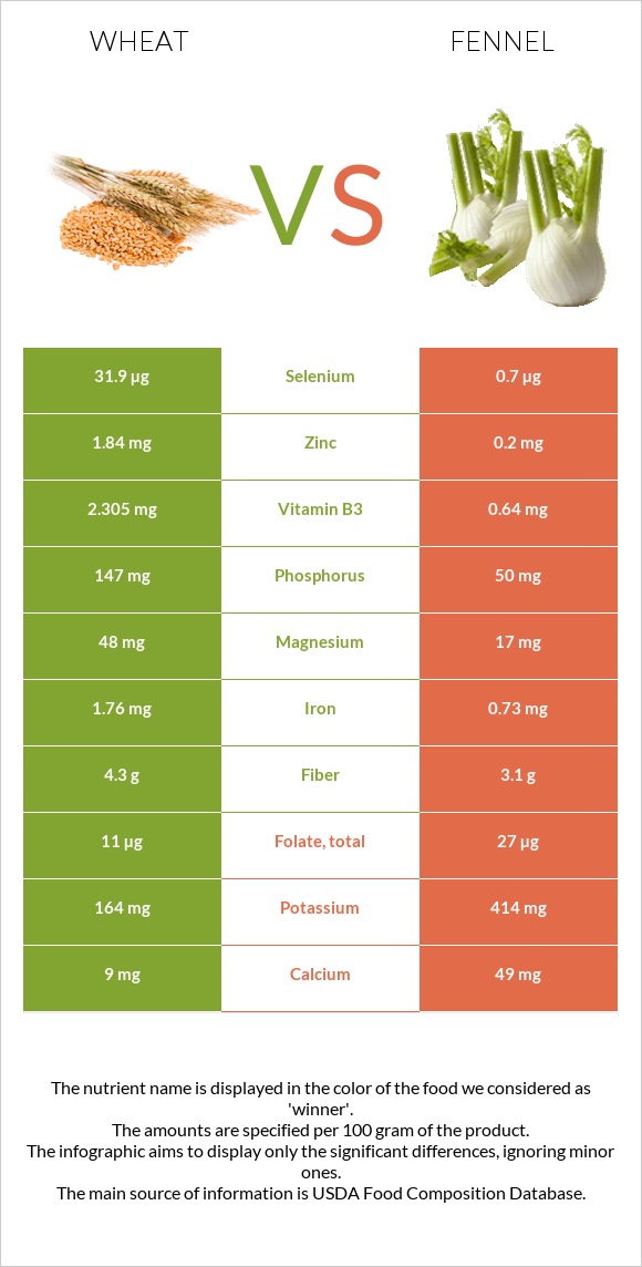 Wheat vs. Fennel — In-Depth Nutrition Comparison
