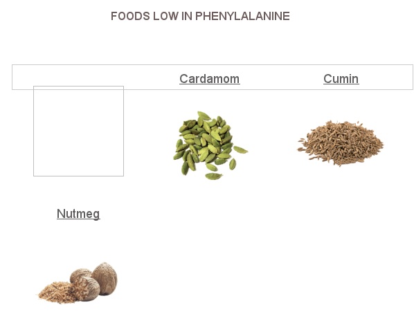 Foods Low In Phenylalanine