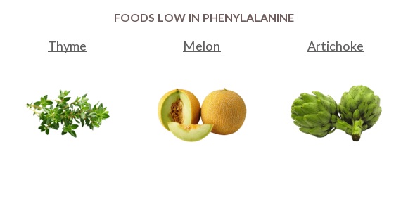 Foods Low In Phenylalanine